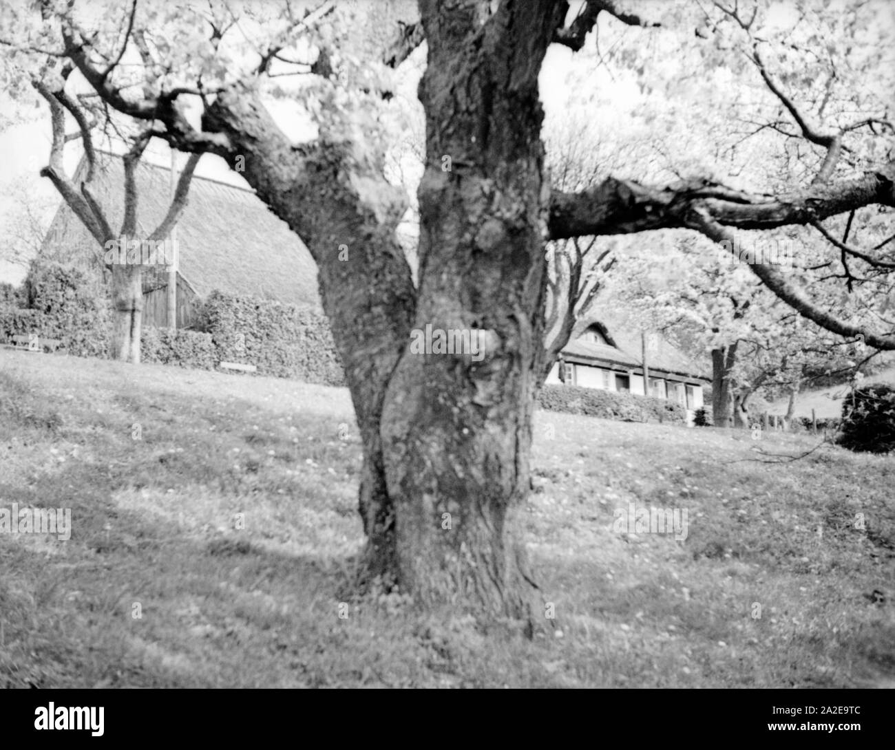 Elbing prussia hi-res stock photography and images - Alamy