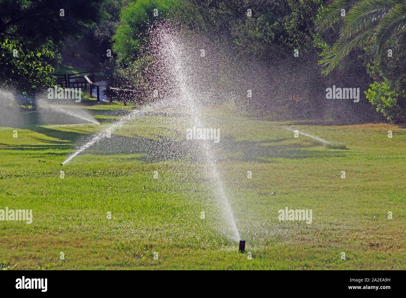 Palau, Sardinia, Italy. Cala Capra resort's garden Stock Photo - Alamy