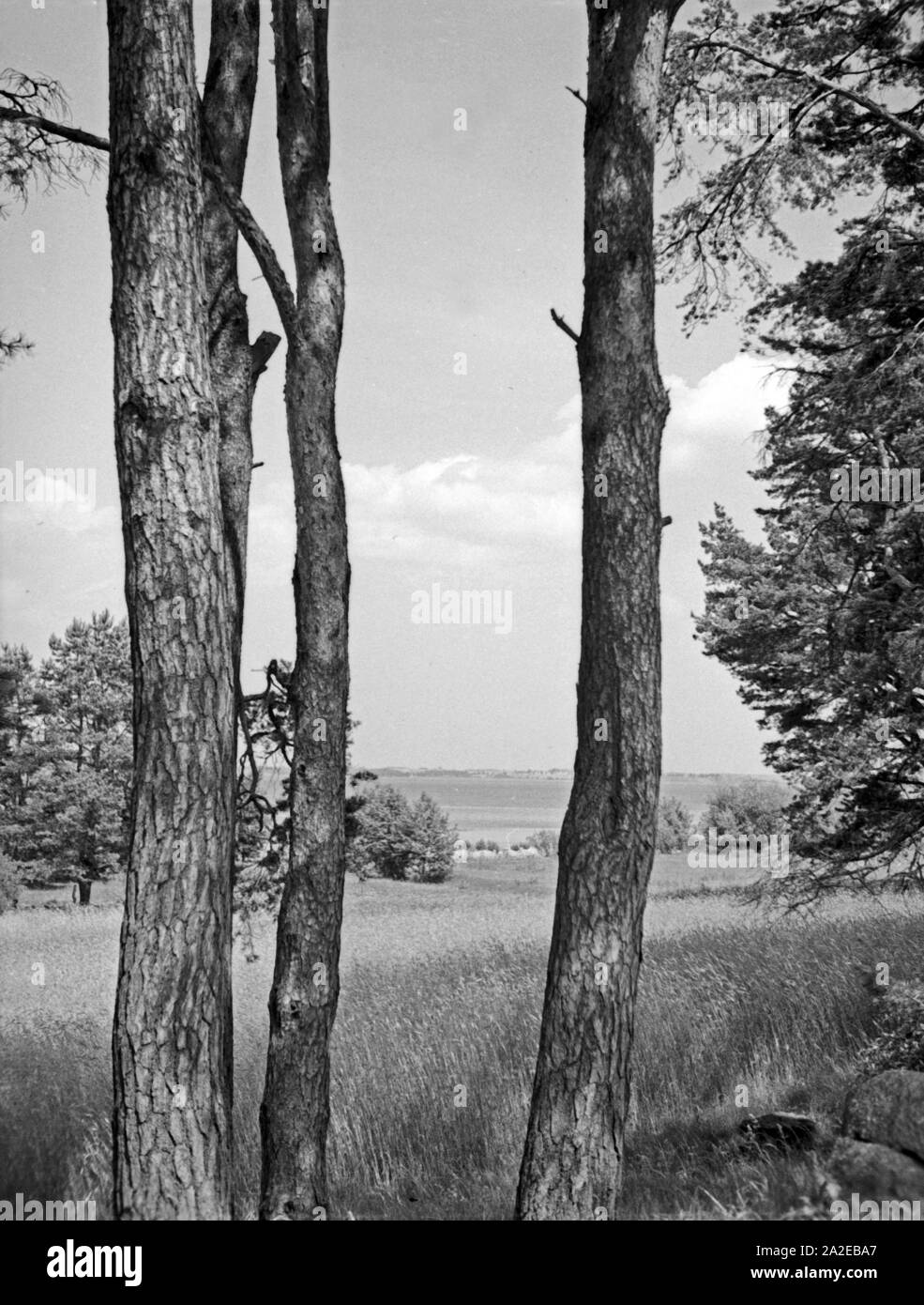 Landschaft am Löwentinsee in Masuren, Ostpreußen, 1930er Jahre ...