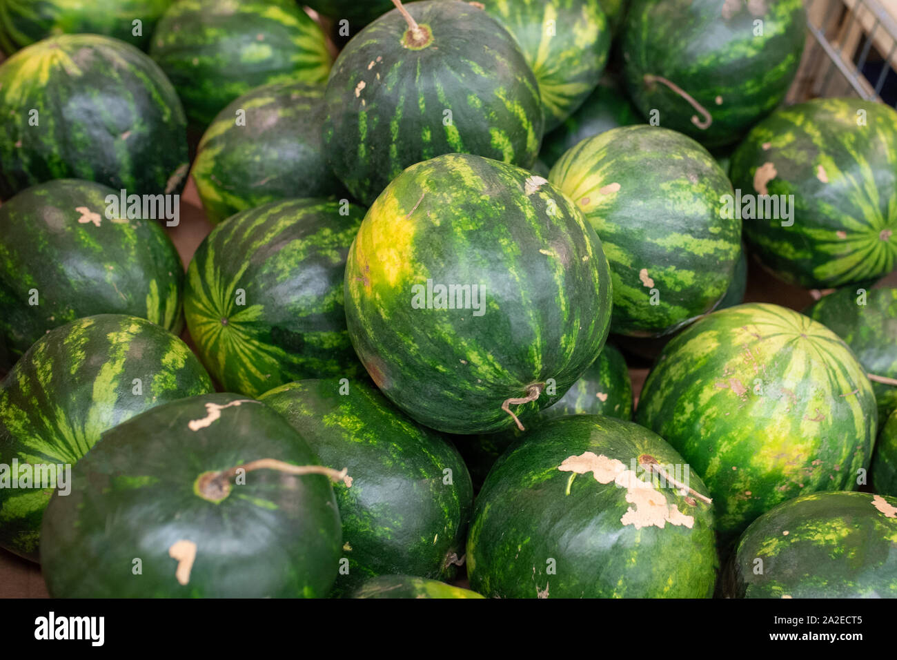 Watermelons in boxes hi-res stock photography and images - Alamy
