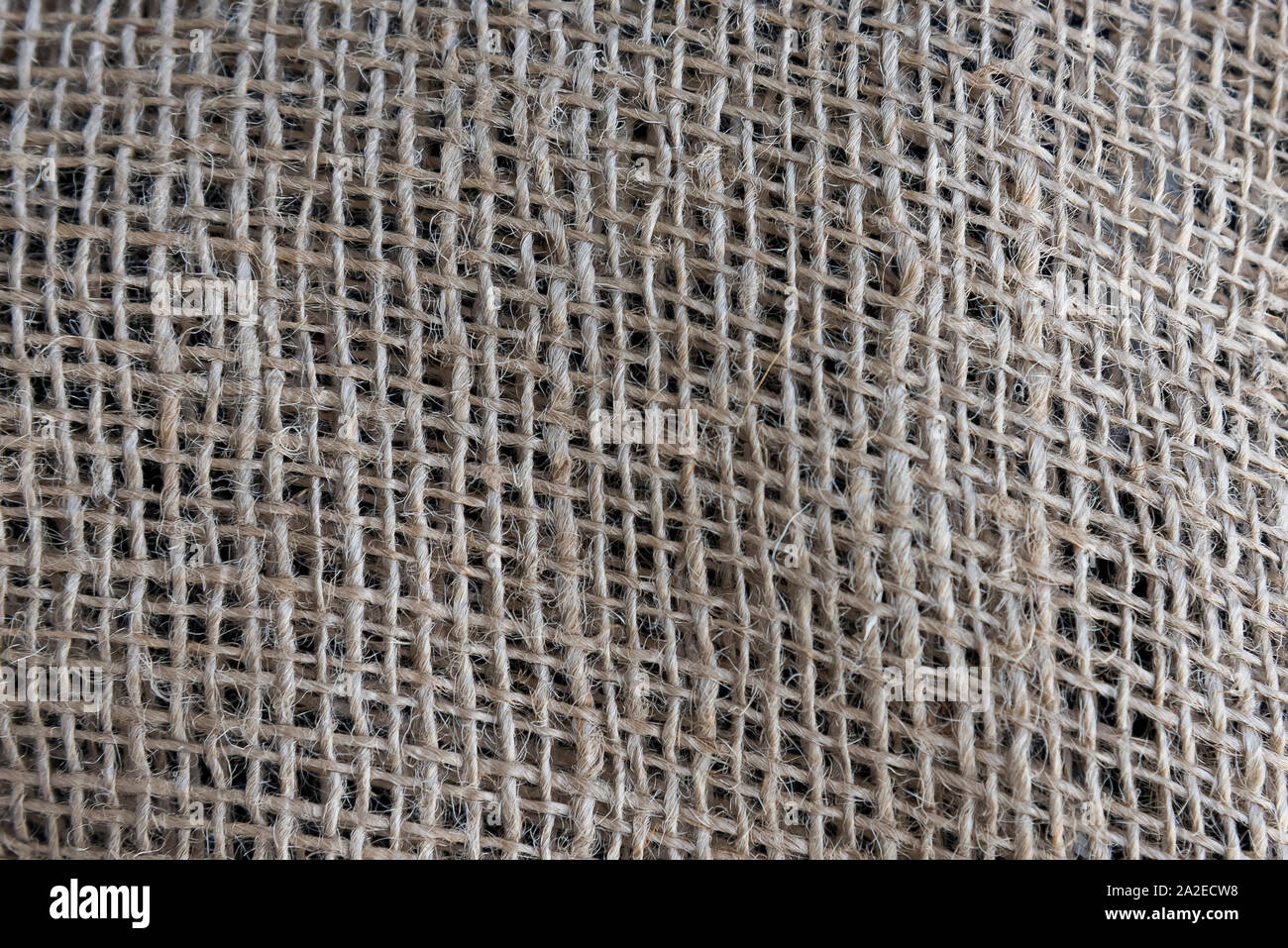 Calico Fabric Texture