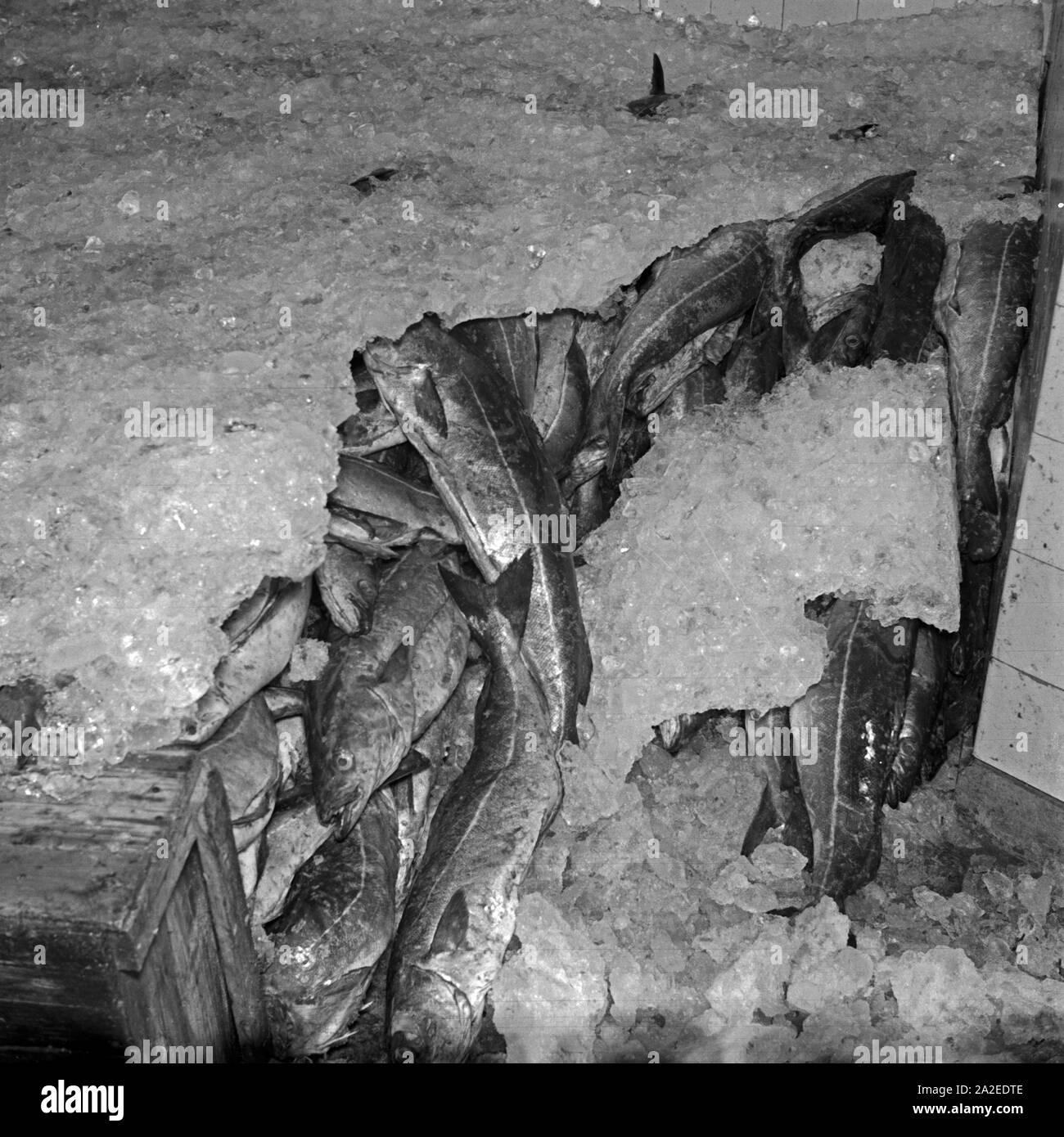 Ice betrieb hi-res stock photography and images - Alamy