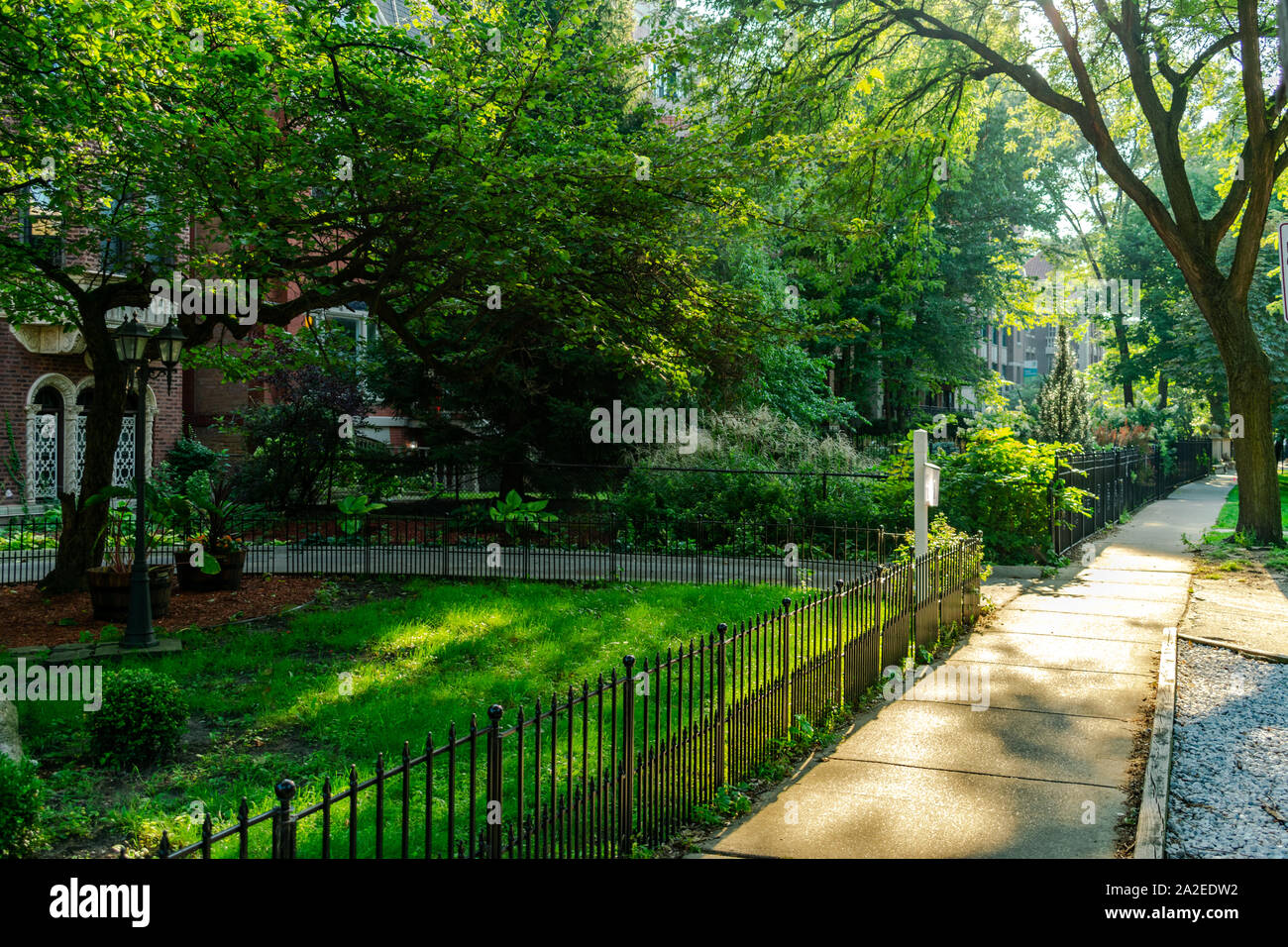 Tree-lined Sidewalk in Chicago's Lincoln Park Neighborhood during the ...