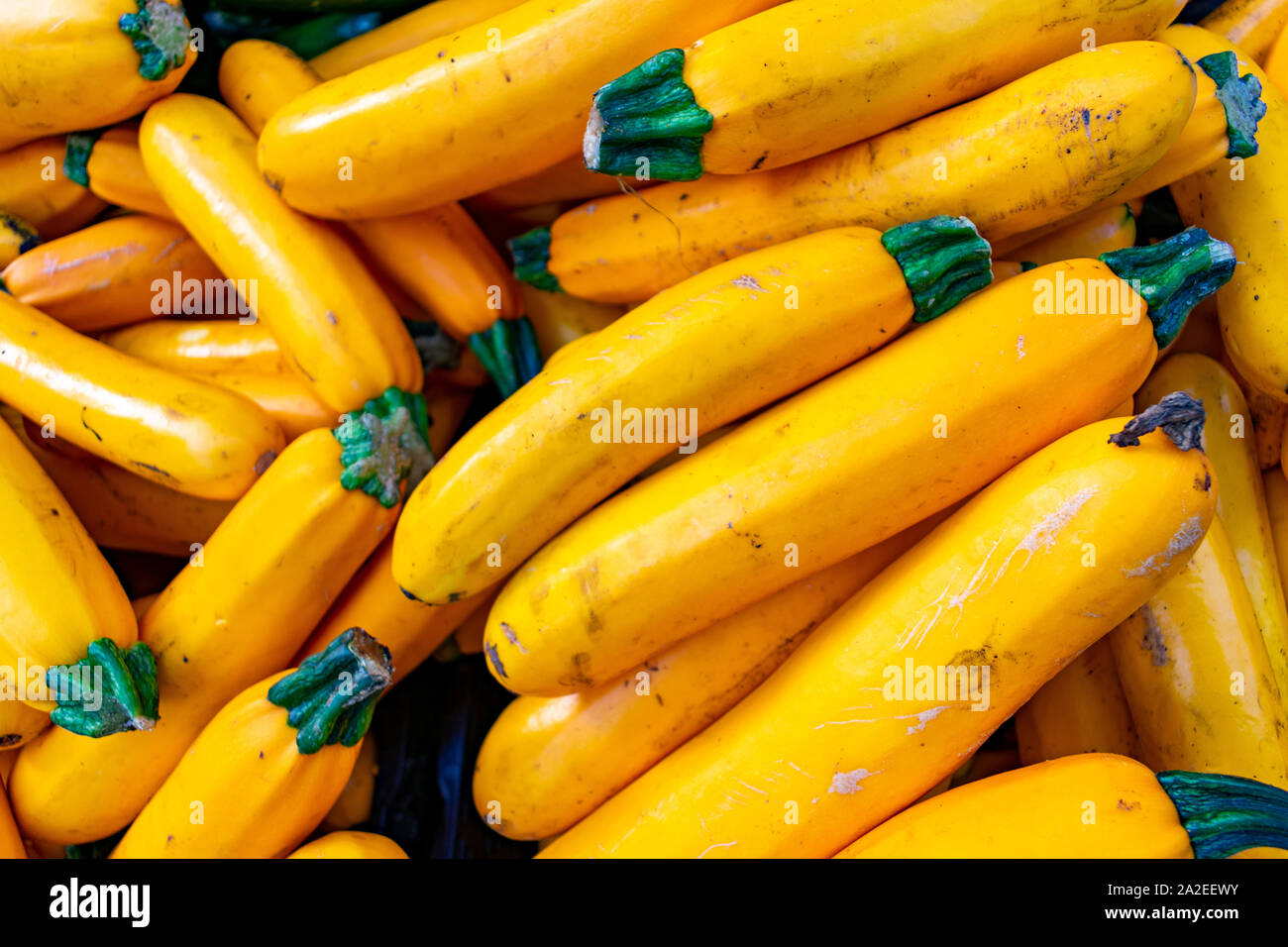 Yellow Zucchini at the Market Stock Photo - Alamy