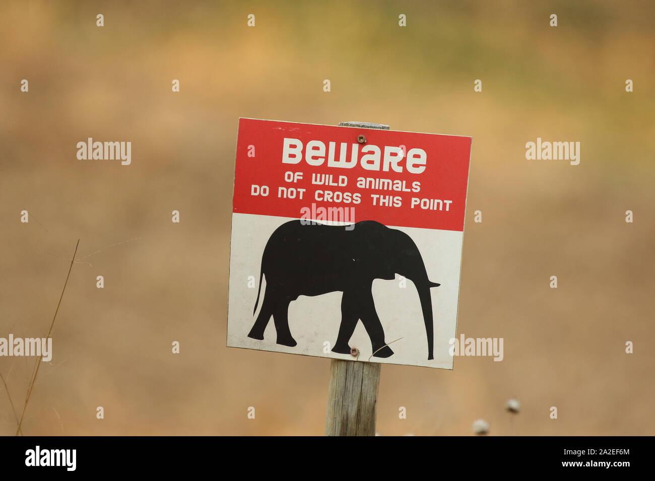 Beware of elephant sign hi-res stock photography and images - Alamy