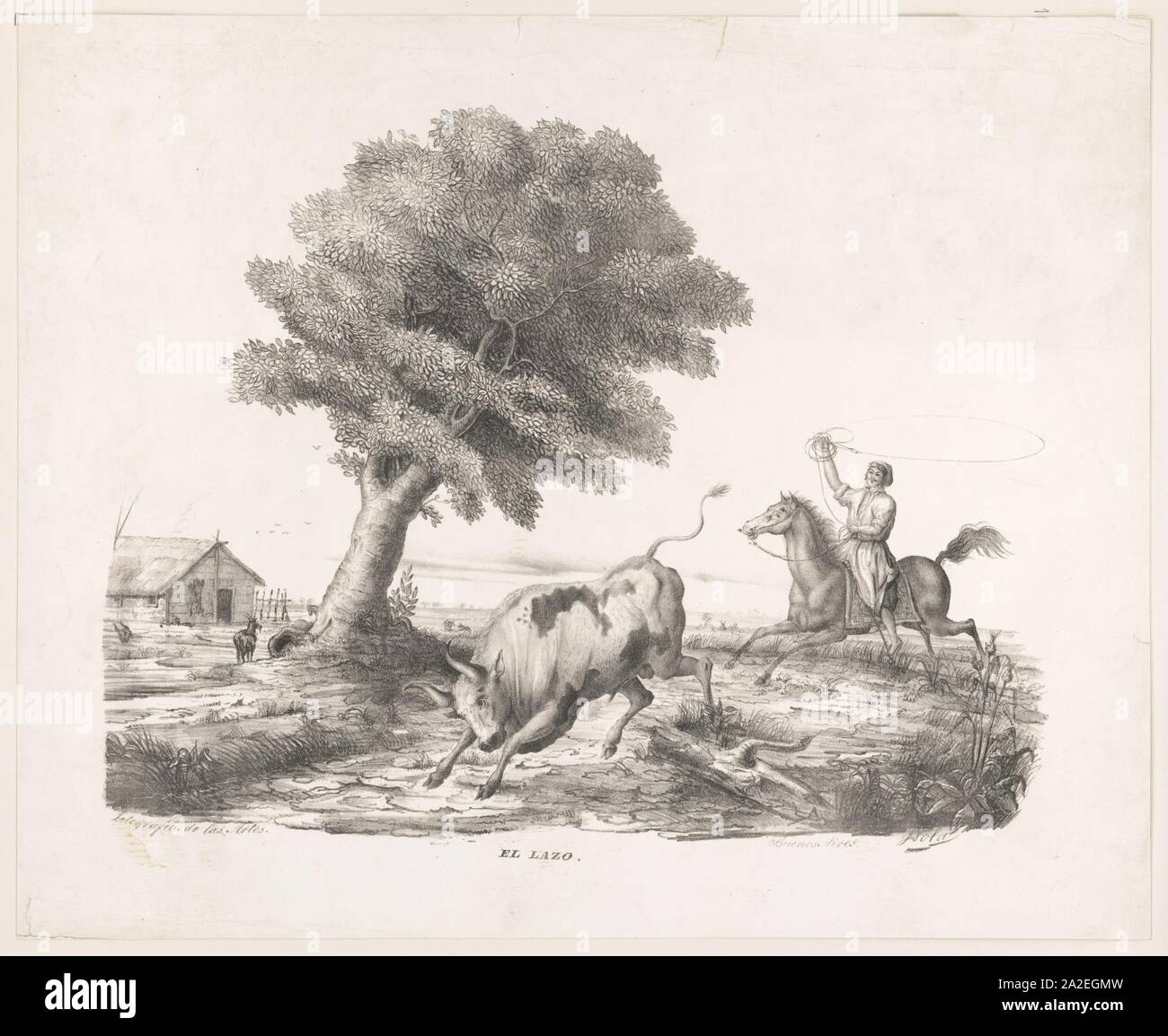 El lazo hi-res stock photography and images - Alamy