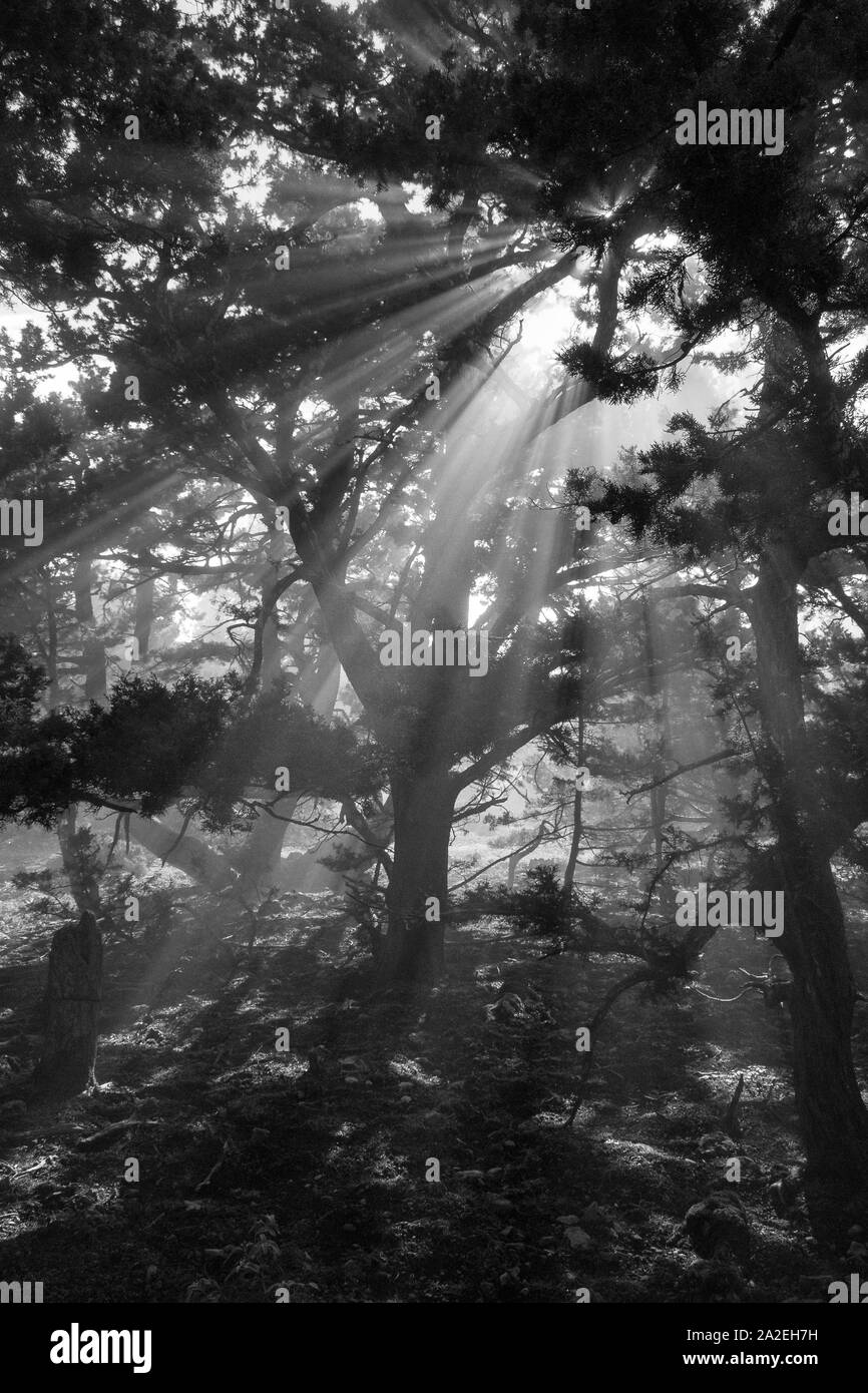 Mood weather view Black and White Stock Photos & Images - Alamy