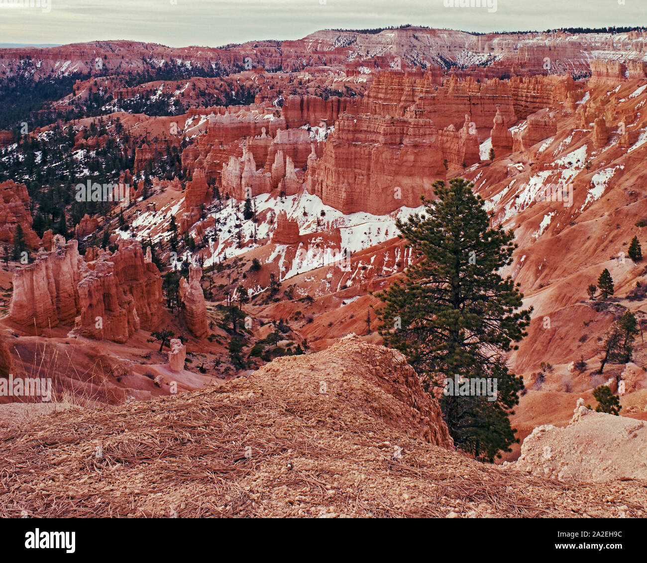 Tom bryce hi-res stock photography and images - Alamy