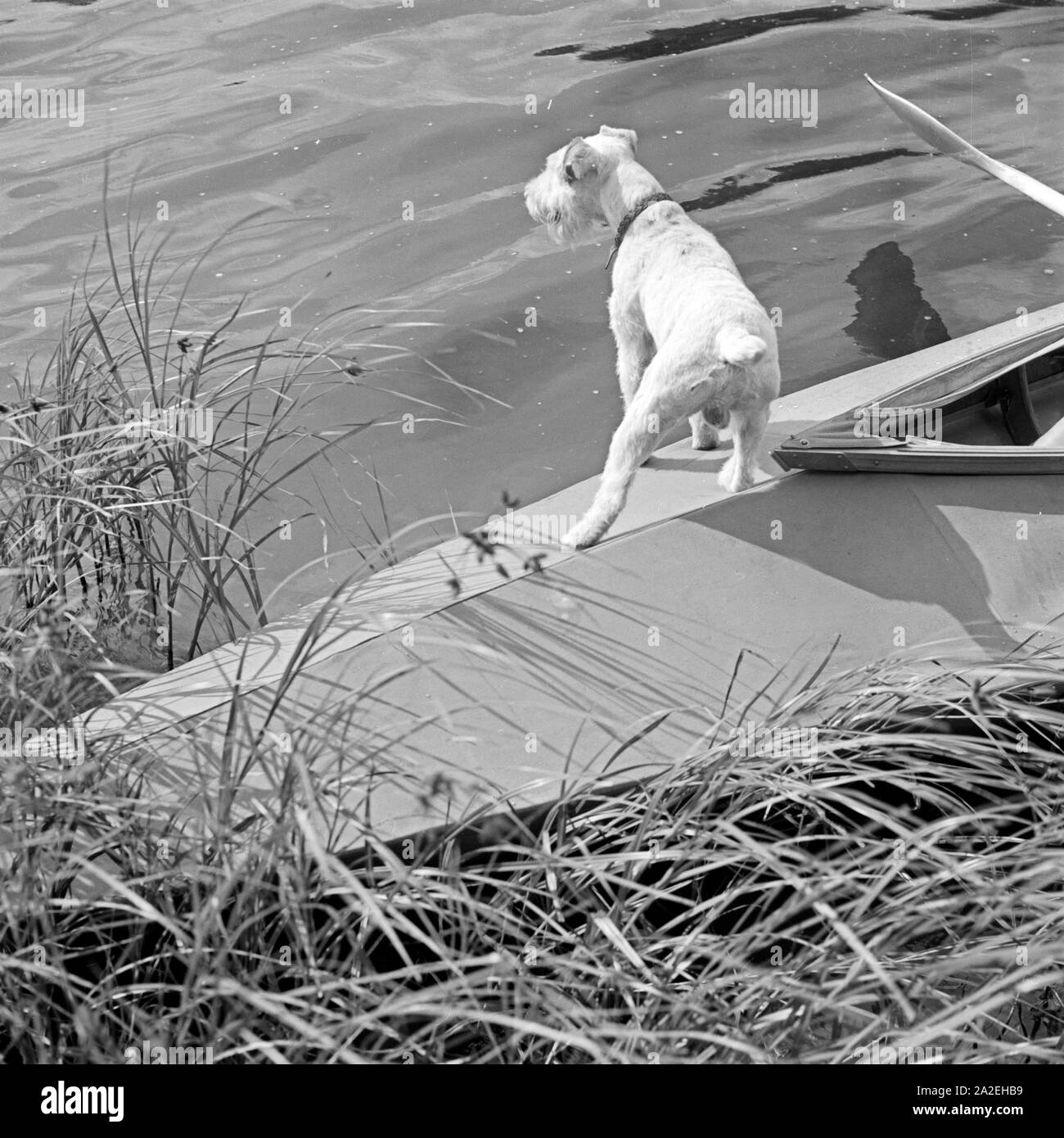 Klepper advert hi-res stock photography and images - Alamy