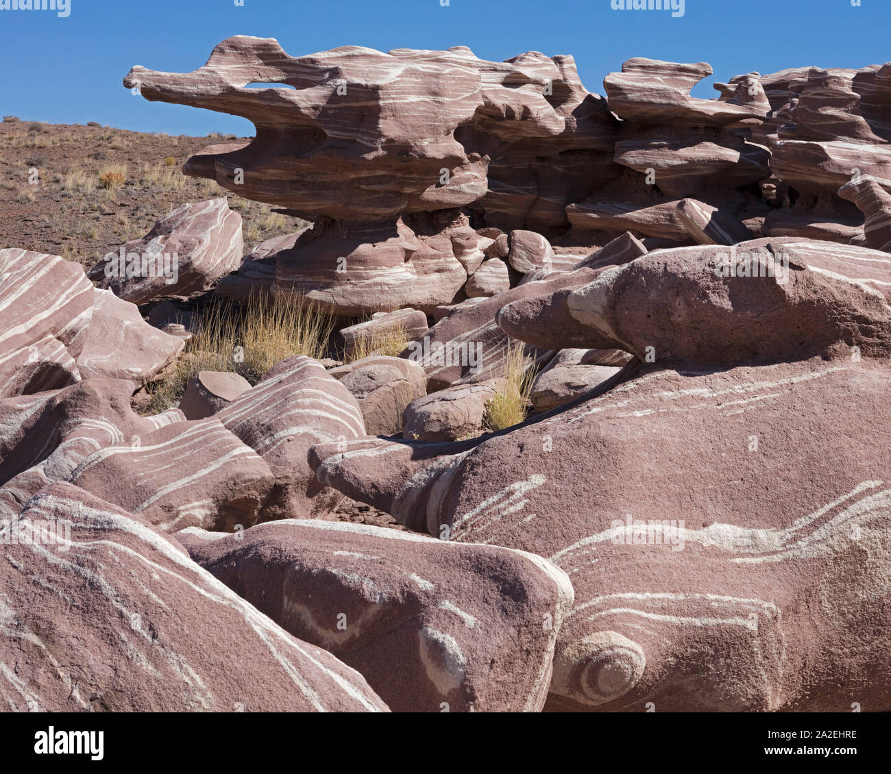Stone Crocodile Ice Cream Rocks in Petrified Forest Stock Photo - Alamy