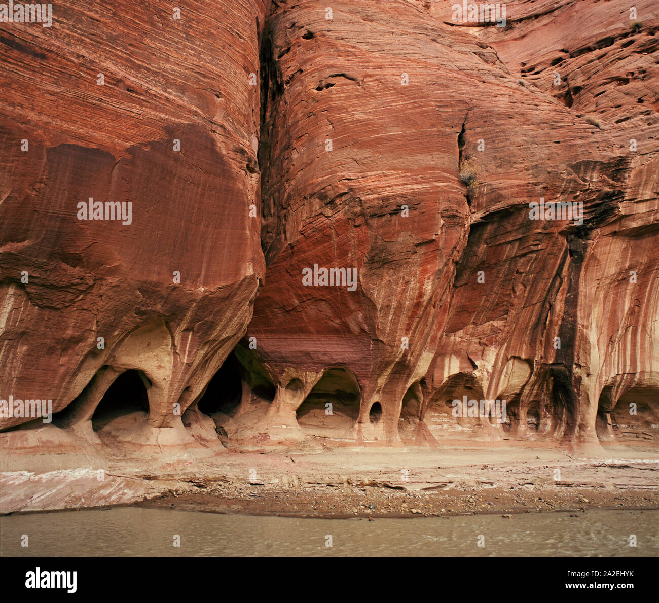 Paria canyon az hi-res stock photography and images - Alamy