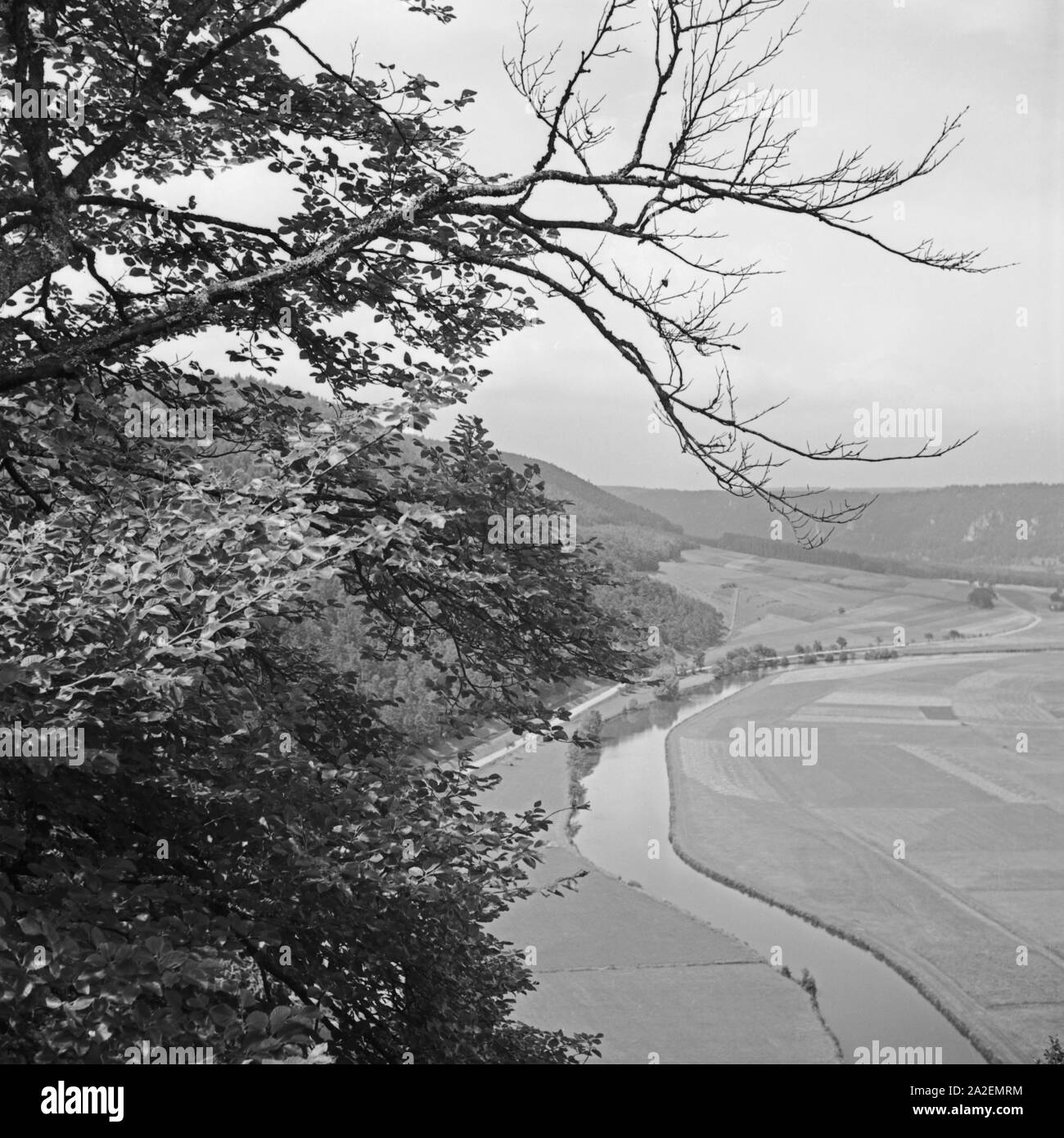 Romantic forest scenery in Black and White Stock Photos & Images - Alamy