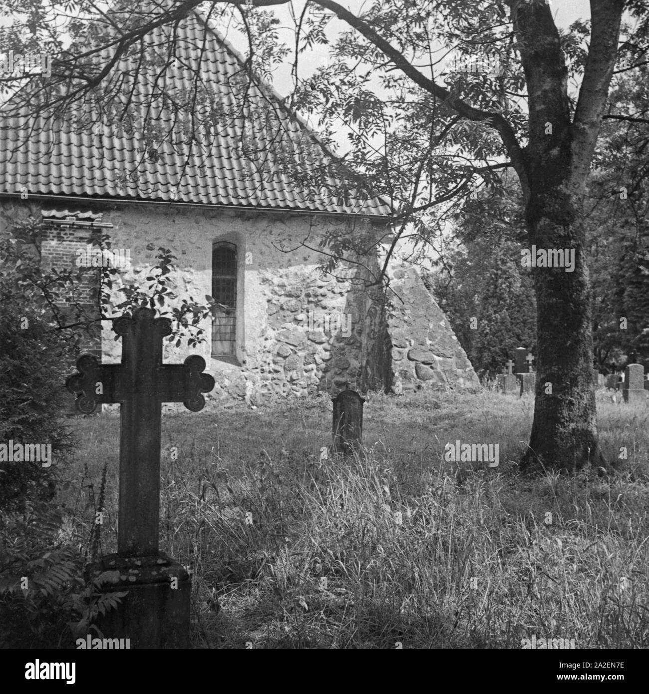 Luneburger heath Black and White Stock Photos & Images - Alamy