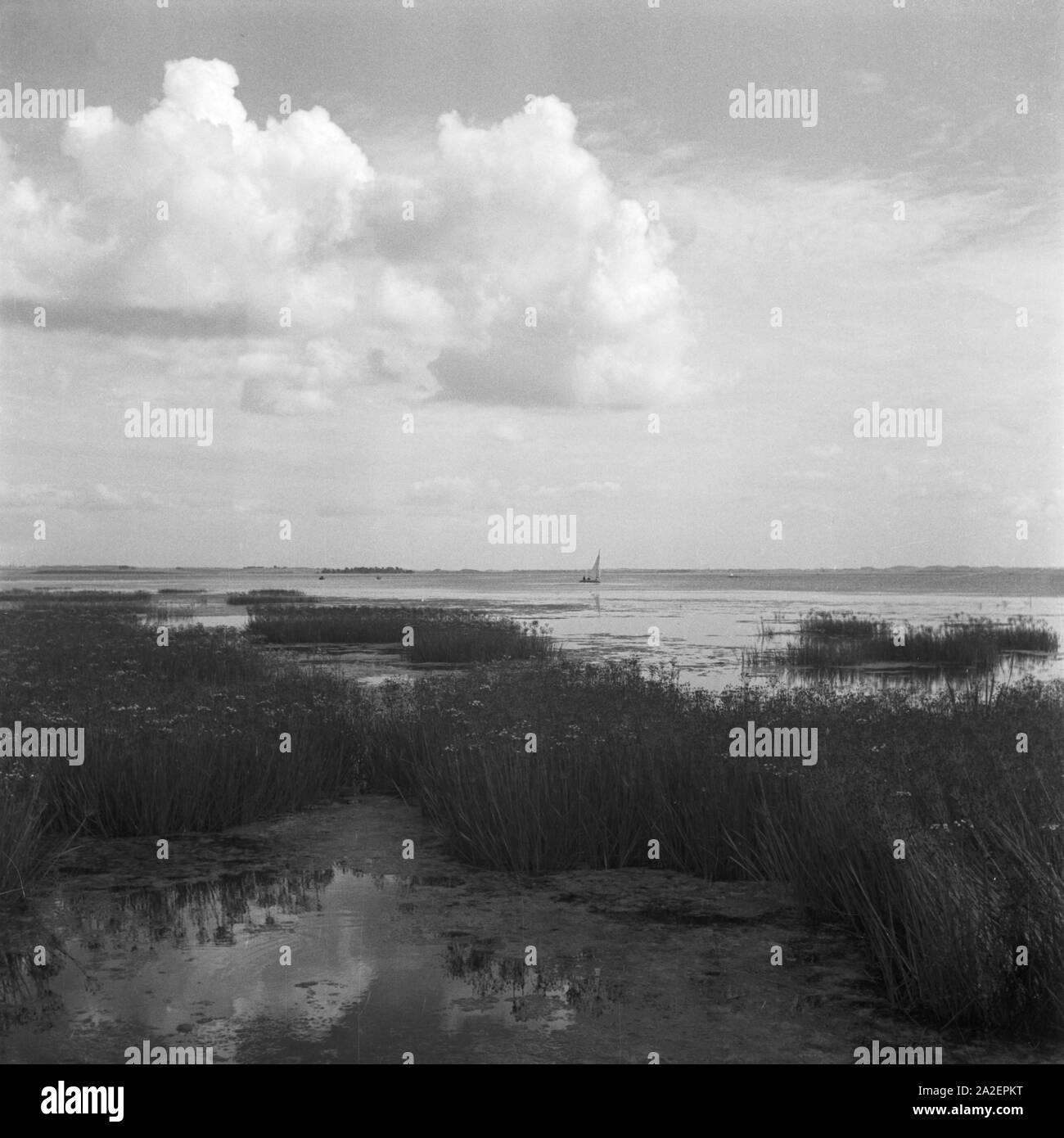 Blick auf einen see in masuren in ostpreussen hi-res stock photography ...