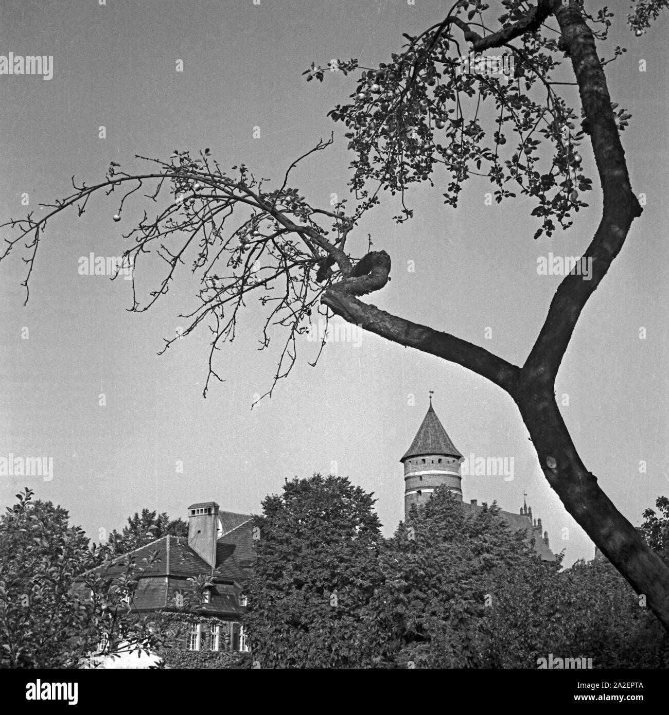 Turm am schloss in allenstein in ostpreussen hi-res stock photography ...