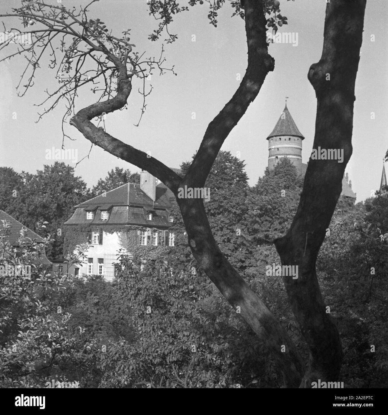 Das Ordensschloss In Allenstein In Ostpreussen High Resolution Stock ...