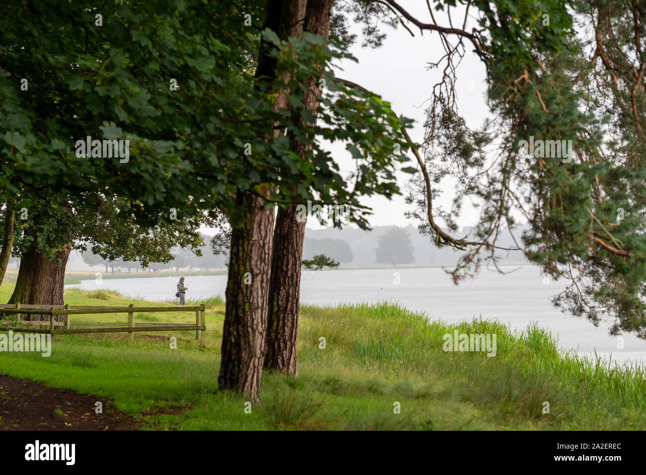 Solitary man fishing in Tatton Mere, Tatton Park, Cheshire, in pouring ...