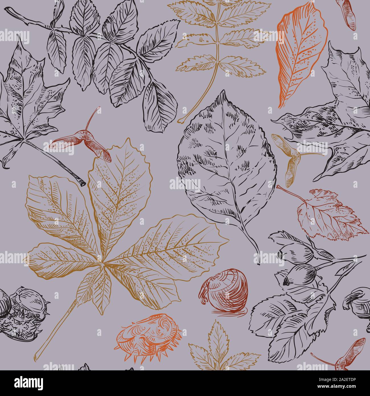 Autumn rowan leaves pattern Stock Vector Images - Alamy