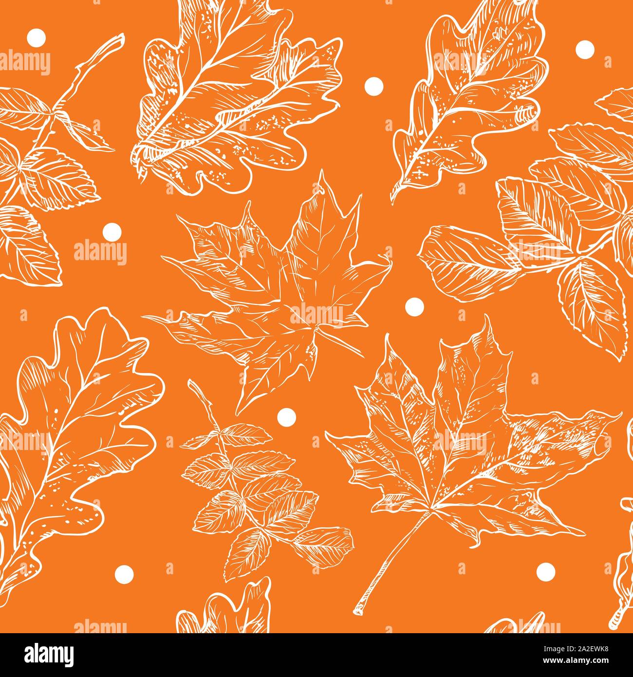 Fall Outline Background