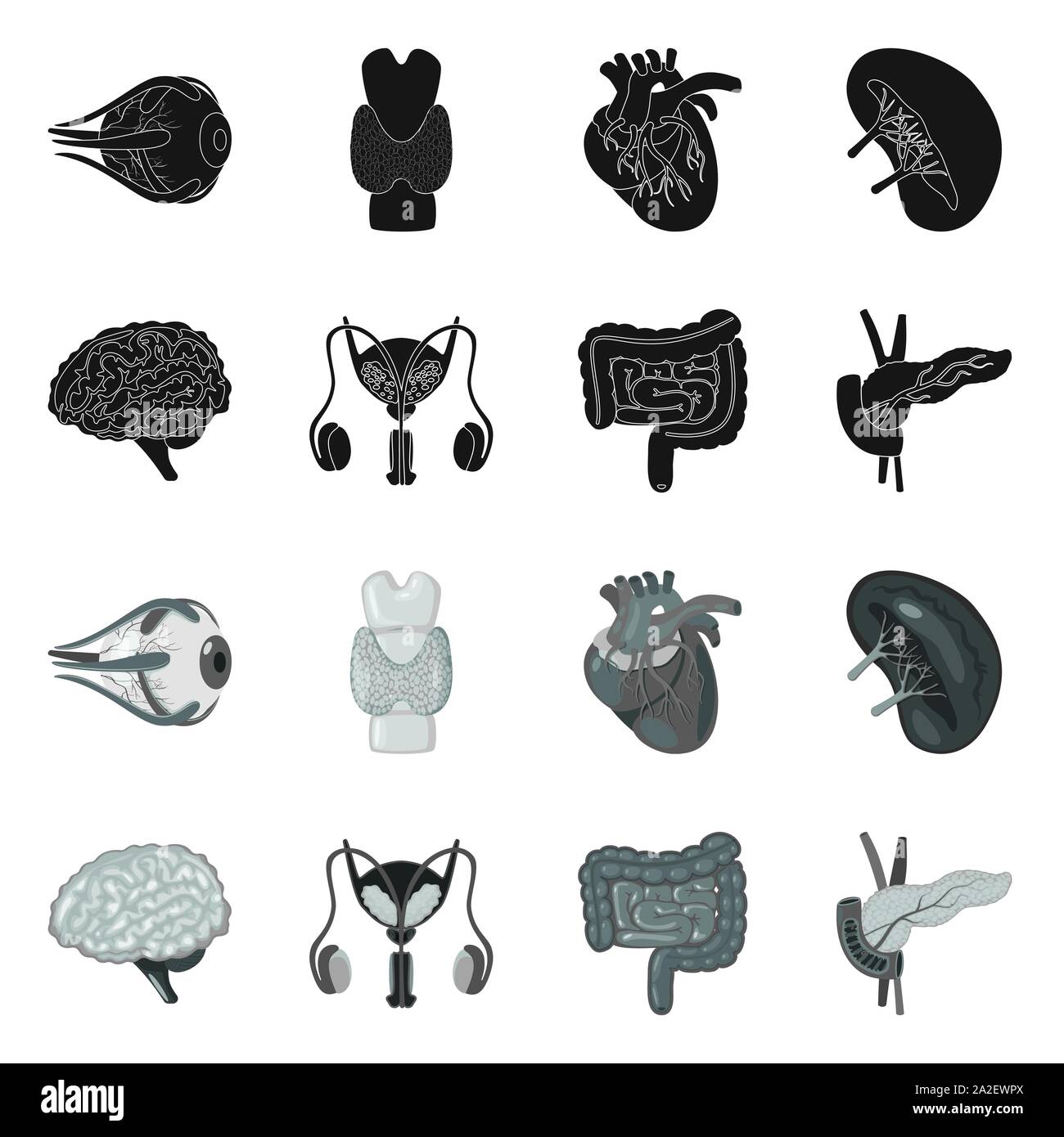 Isolated object of biology and scientific symbol. Set of biology and ...