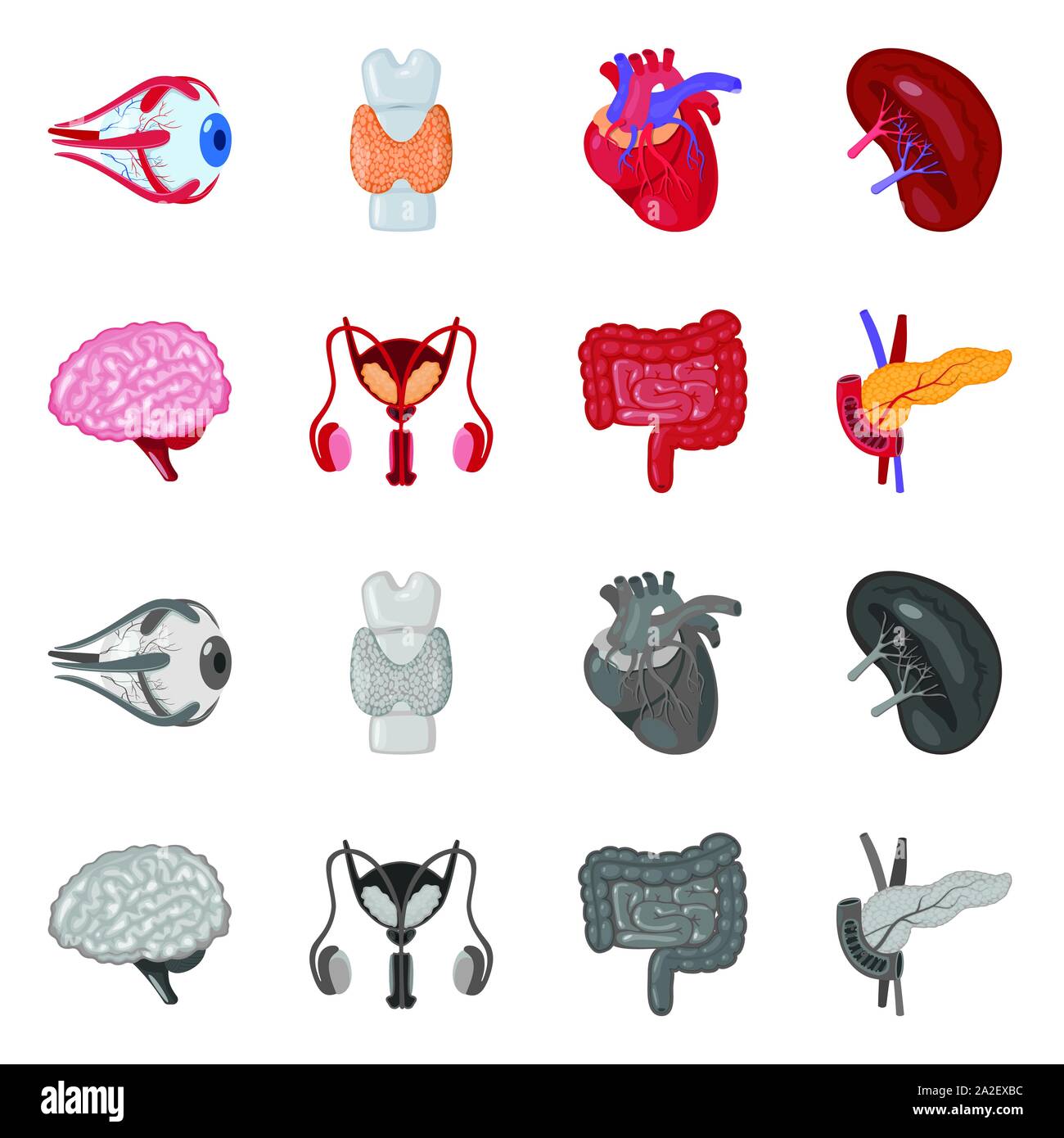 Vector illustration of biology and scientific sign. Collection of ...