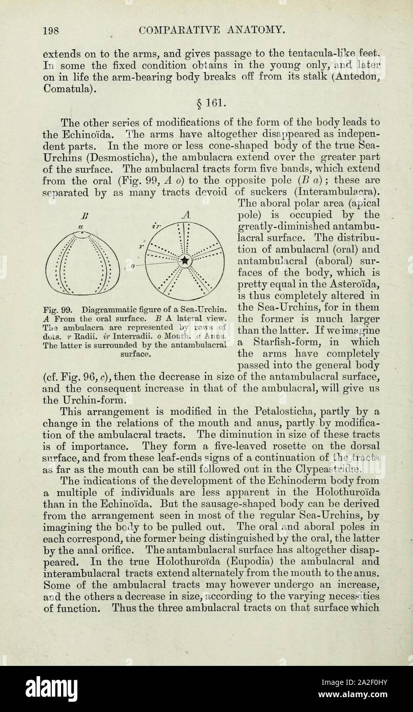 Elements of Comparative Anatomy (Page 198 Stock Photo - Alamy