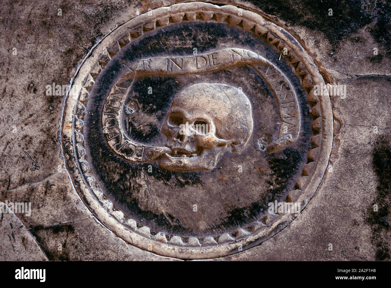 Stone carved skull hi-res stock photography and images - Alamy