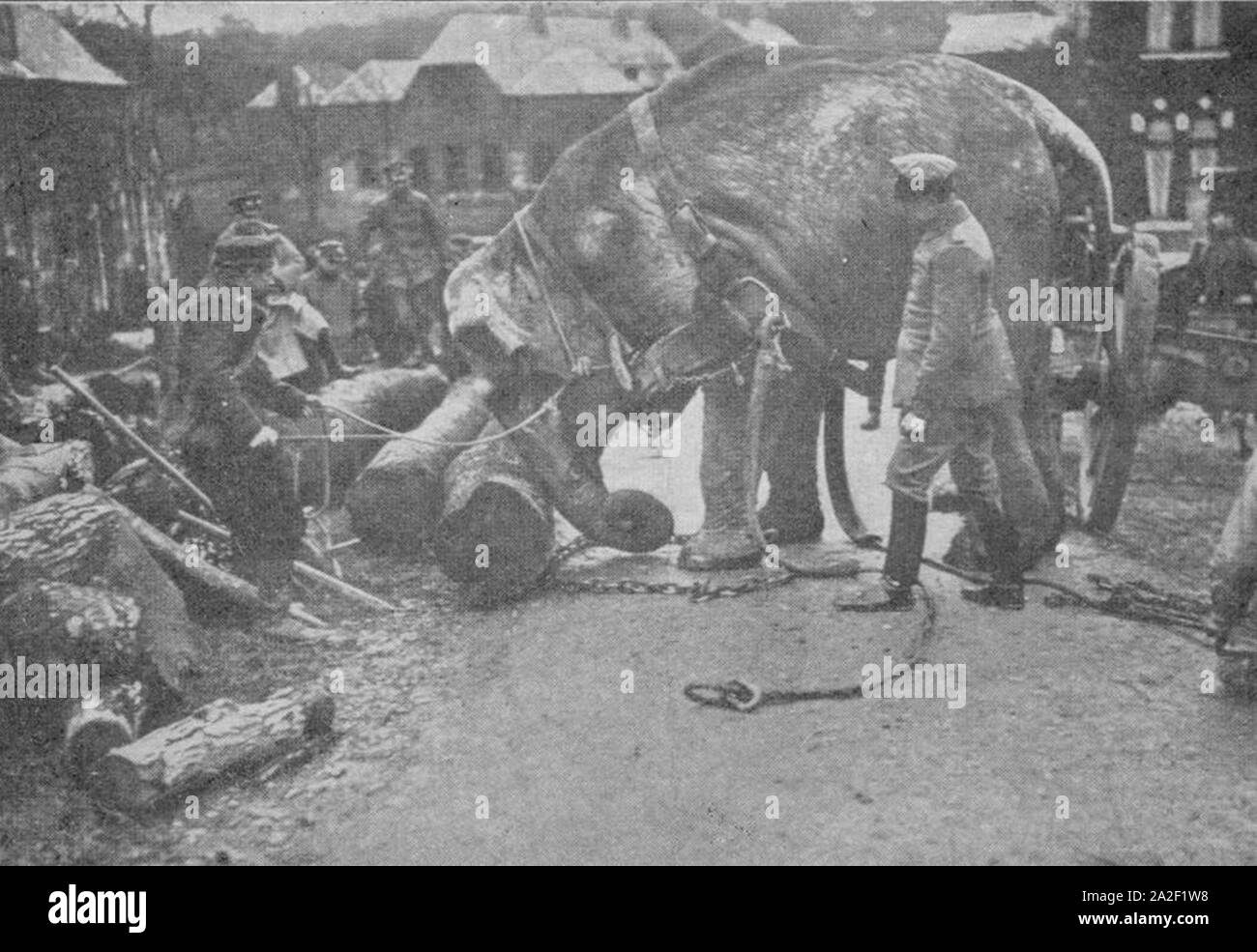 Elephant at work Stock Photo - Alamy