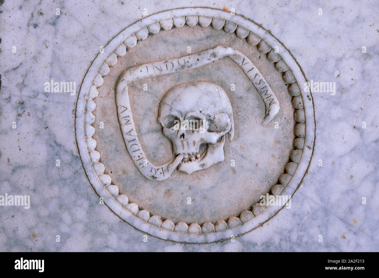 Relief carved in stone. Skull On The Medieval Marble Tomb, close up ...