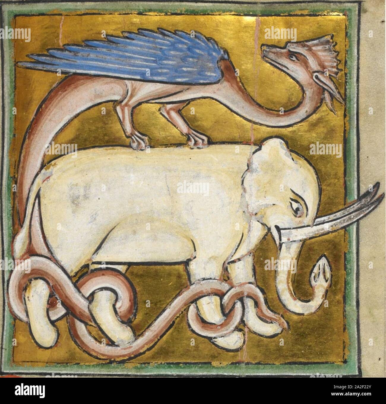 Elephant et dragon royal MS12 Stock Photo - Alamy