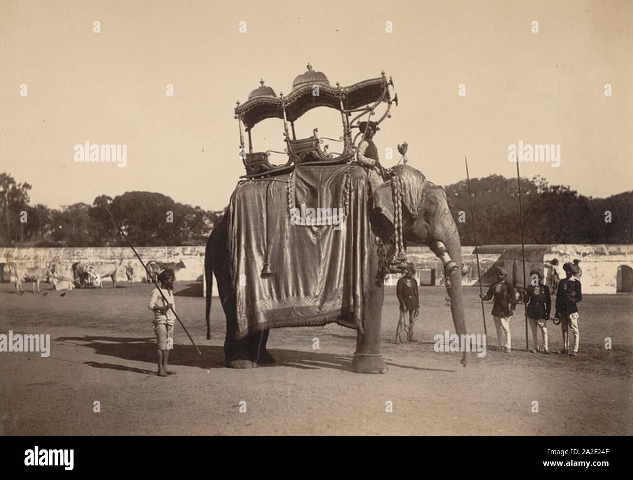 Elephant with golden howdah in Baroda (c. 1890 Stock Photo - Alamy