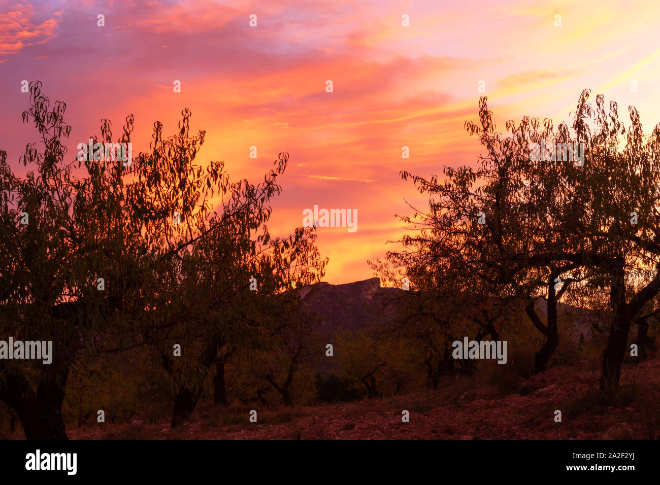 Sunset in the village of Benizar in Moratalla (Spain Stock Photo - Alamy