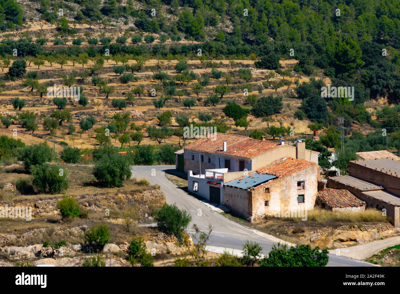 Benizar is a beautiful village for rural tourism for every year.It is ...