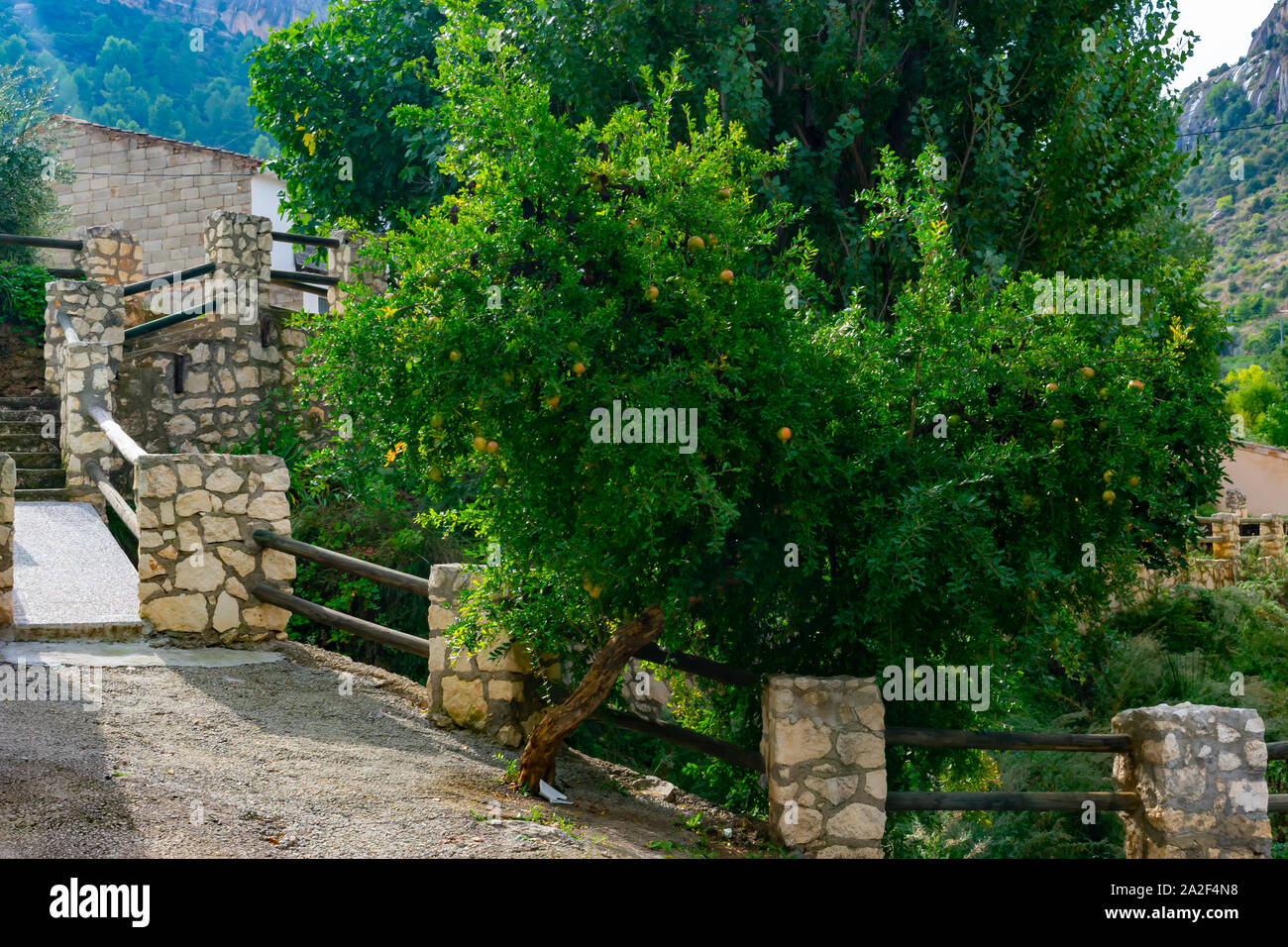 Benizar is a beautiful village for rural tourism for every year.It is ...