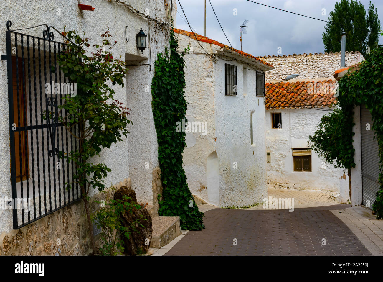 Benizar is a beautiful village for rural tourism for every year.It is ...