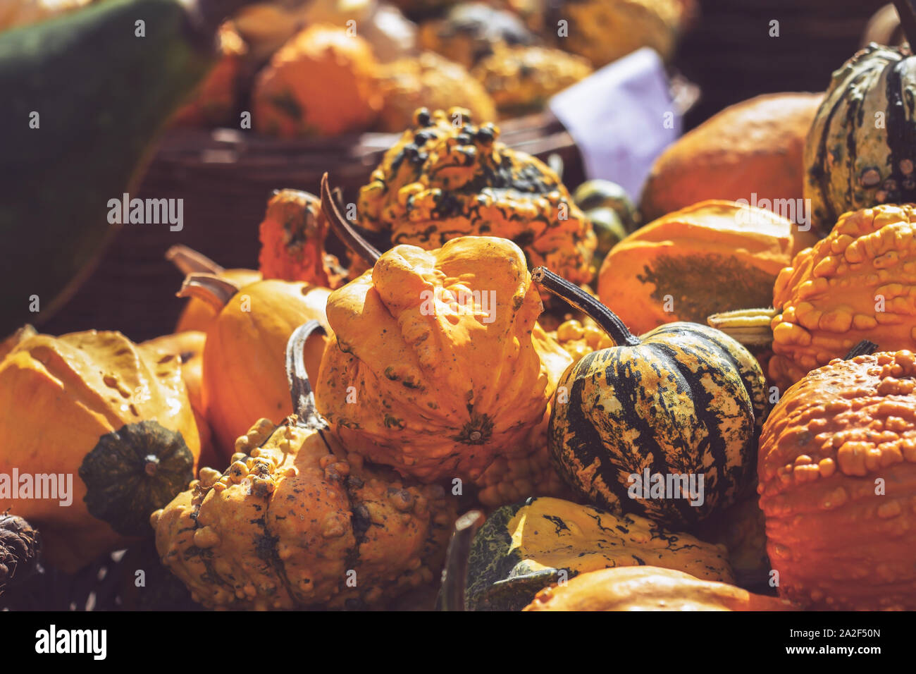 Many small gourds hi-res stock photography and images - Alamy