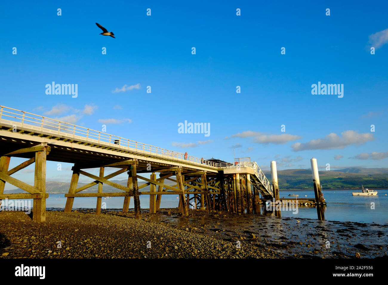 A view under Beaumaris Pier showing the wooden supports substructure at ...