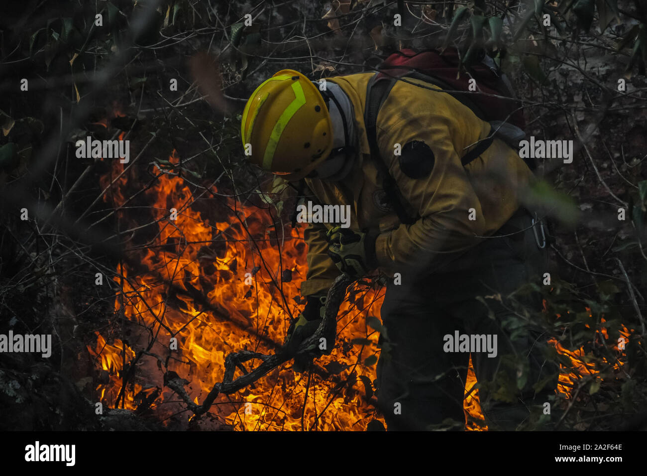 forest fire in bolivia Stock Photo - Alamy