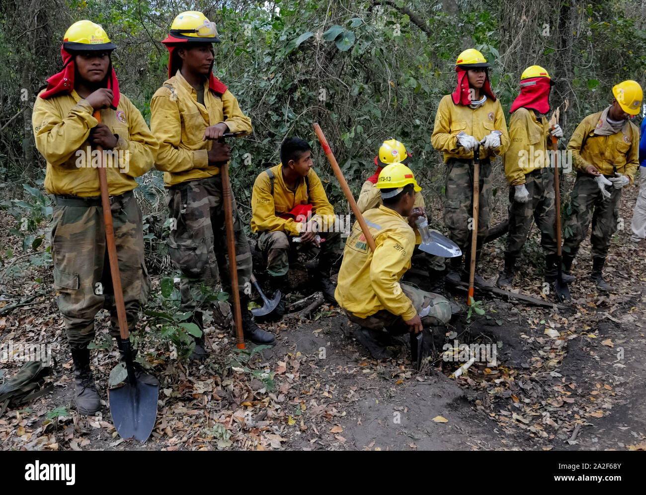 forest fire in bolivia Stock Photo - Alamy