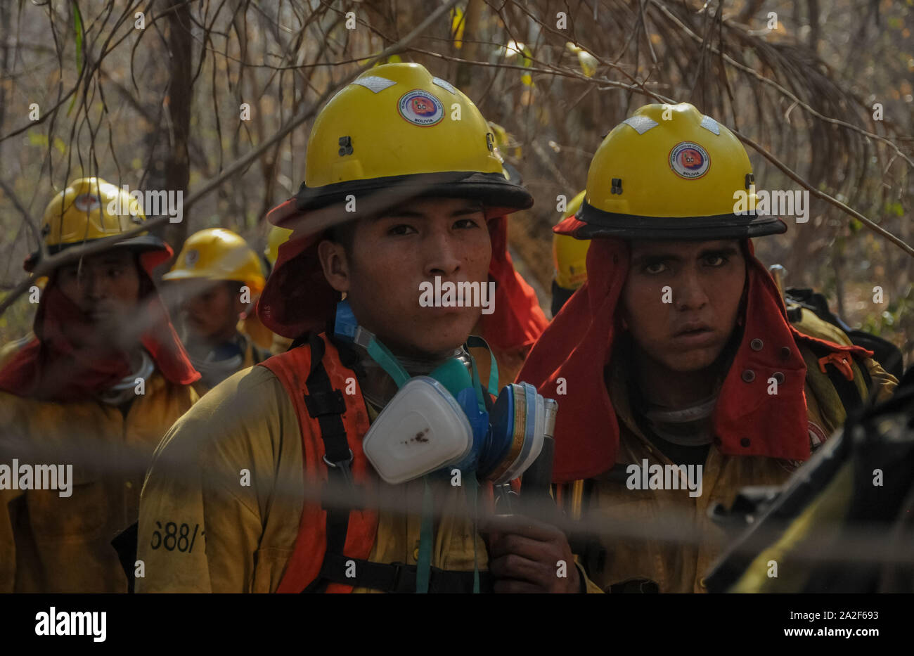 forest fire in bolivia Stock Photo - Alamy
