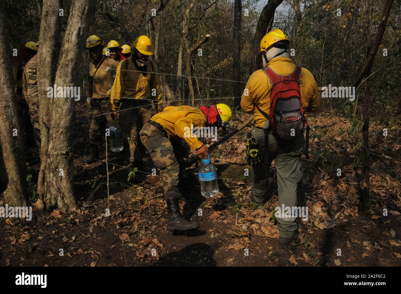 forest fire in bolivia Stock Photo - Alamy