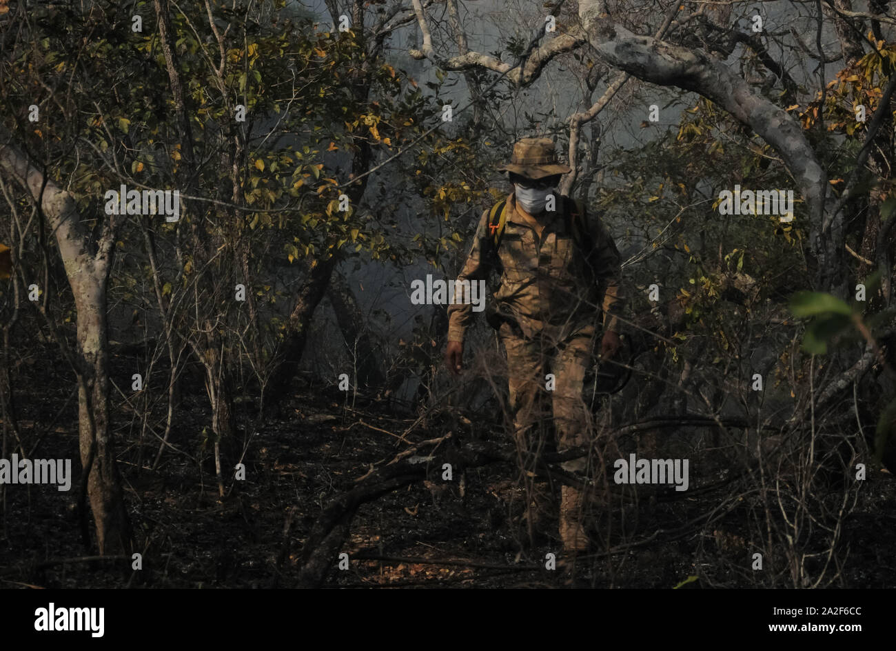 forest fire in bolivia Stock Photo - Alamy