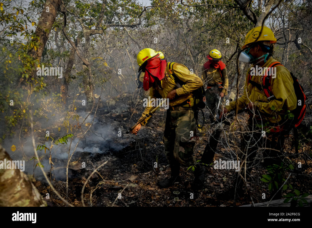 forest fire in bolivia Stock Photo - Alamy