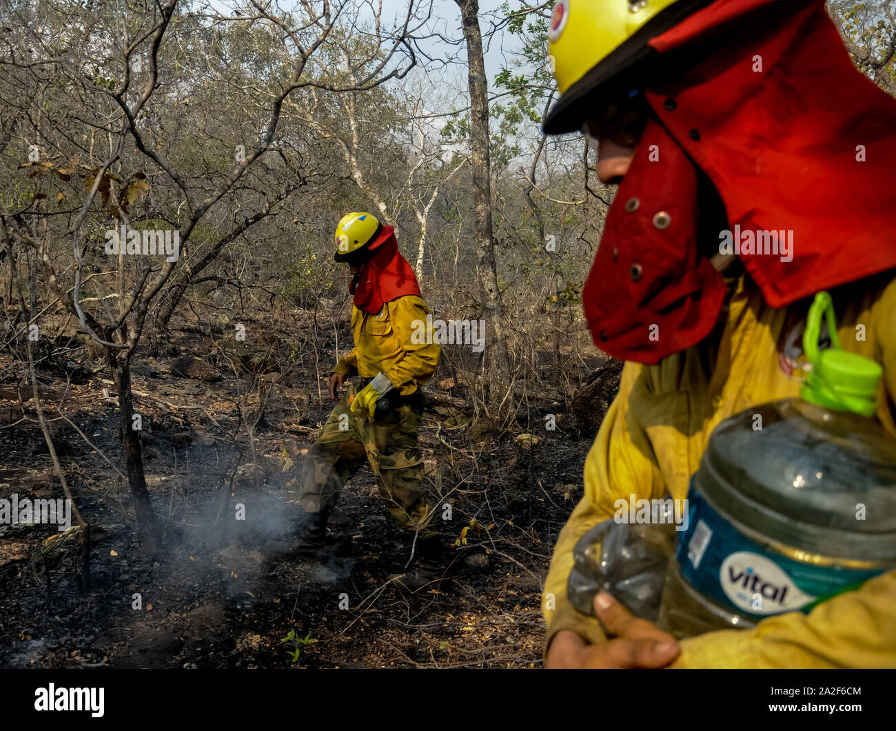 forest fire in bolivia Stock Photo - Alamy