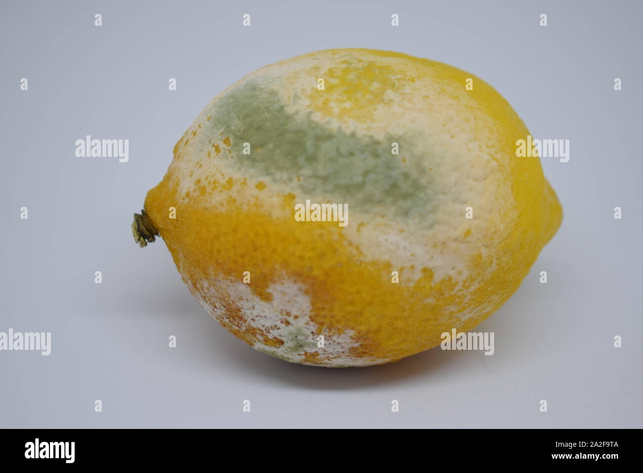 Lemon fruit half damaged by green mold Stock Photo - Alamy