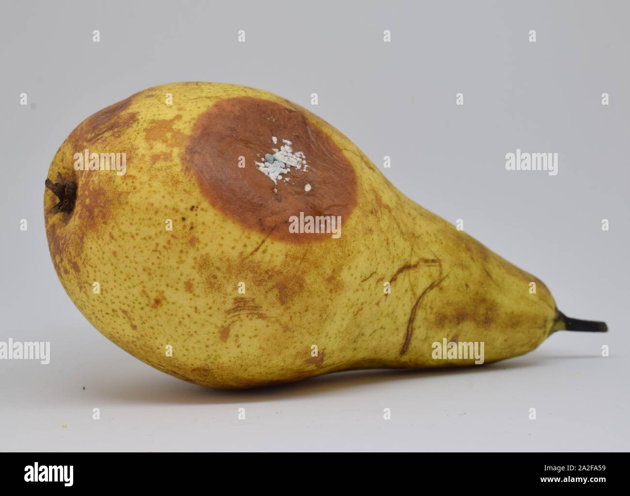 Decaying pear hi-res stock photography and images - Alamy