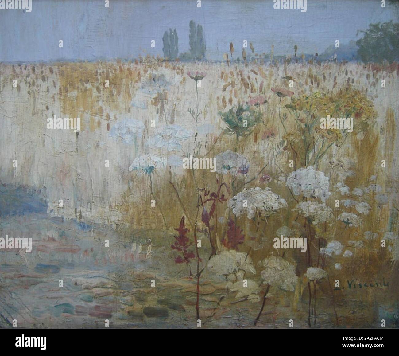 Trigal hi-res stock photography and images - Alamy