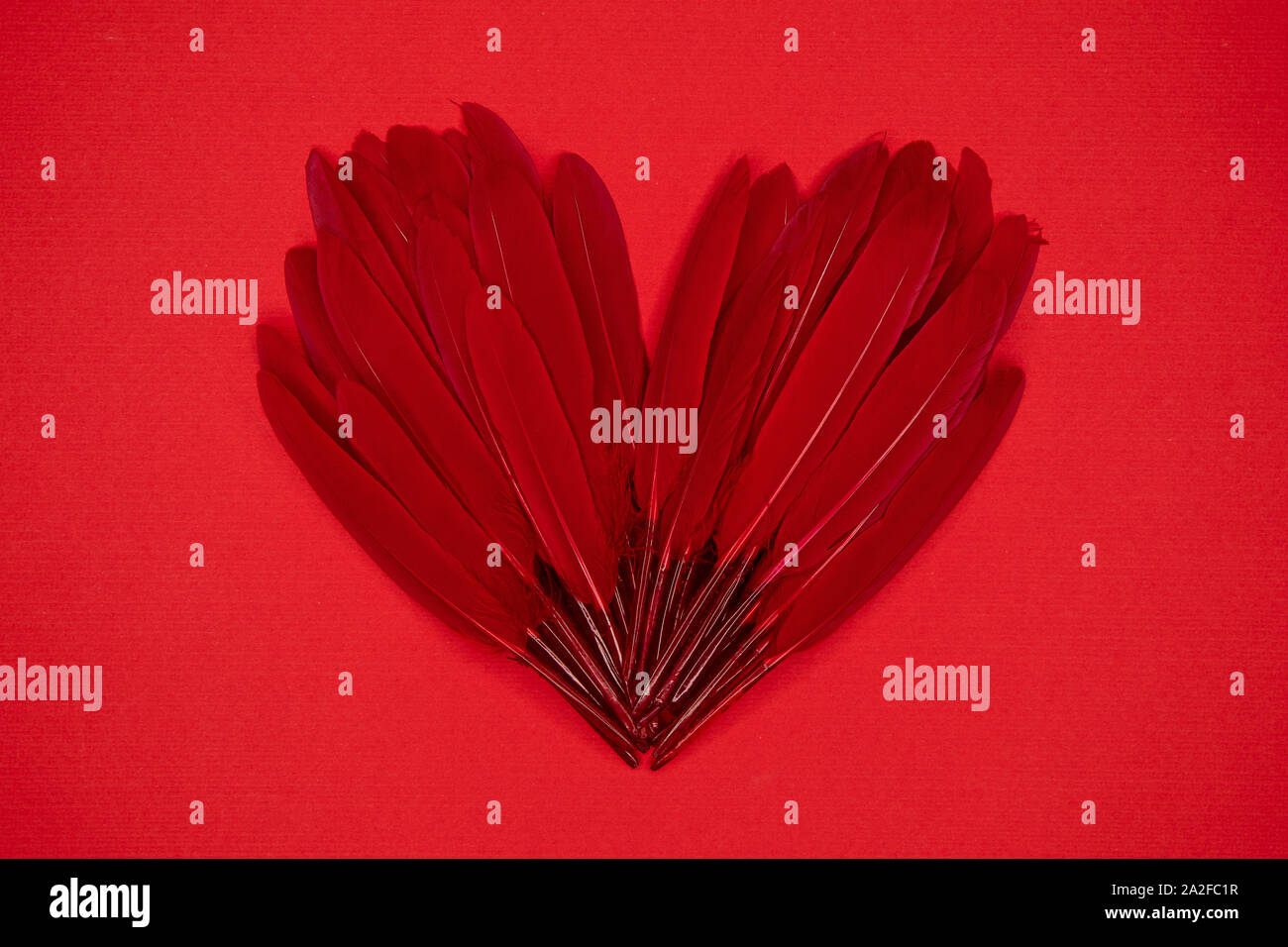 A red heart formed of goose feathers on bright red background Stock ...