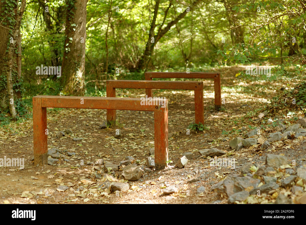 Gymnastics balance beams located in forest for training purpose. Shot ...