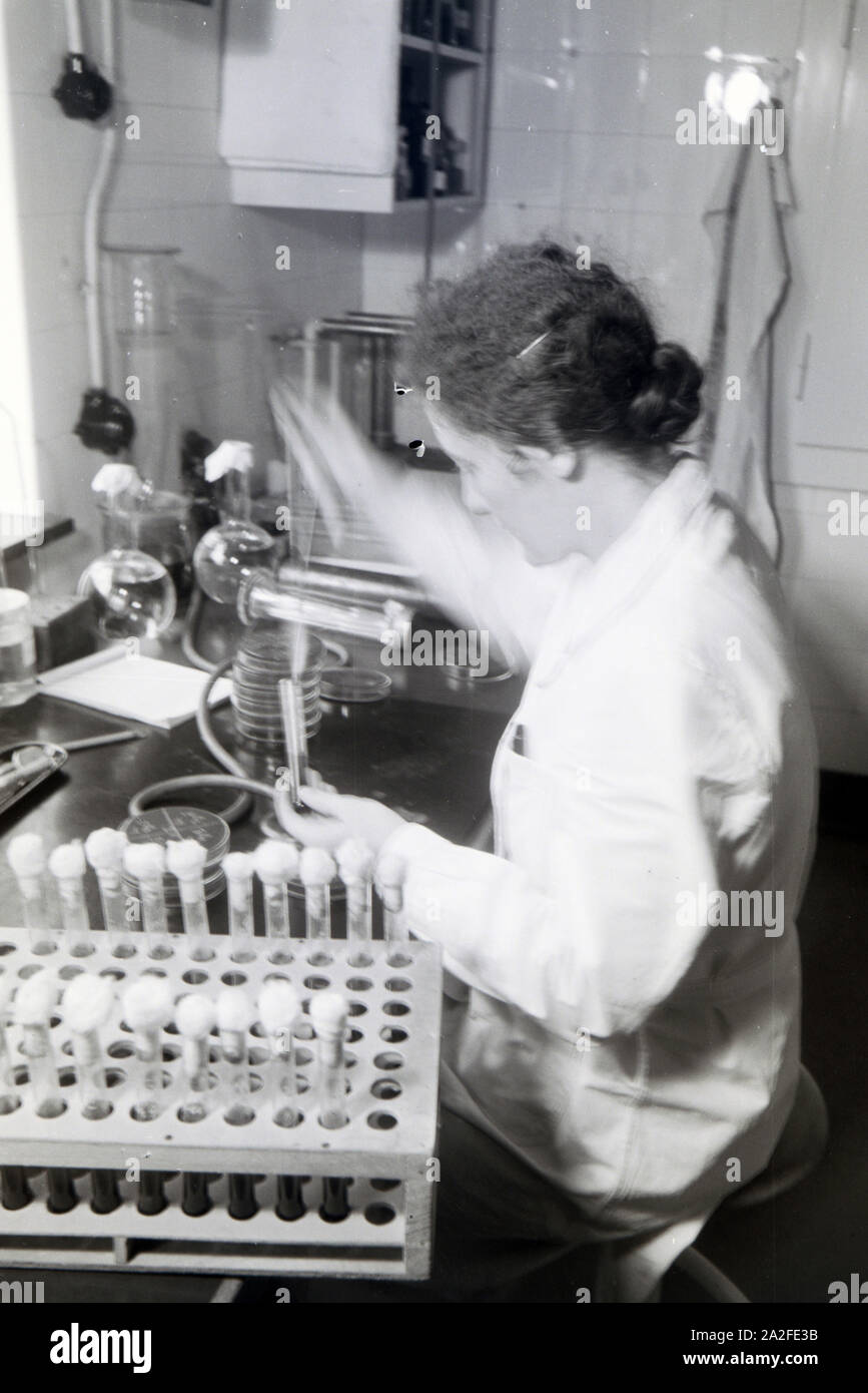 Eine Laborantin bei der Untersuchung von Mikroorganismen in einer ...